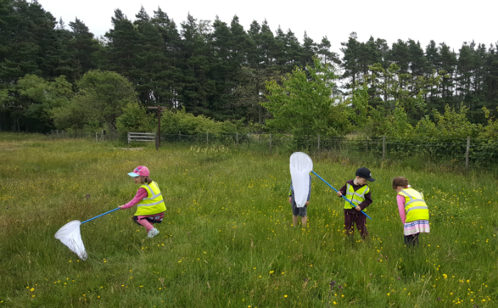 RAF Leeming Community Primary School | Blog | Foxglove Covert Local ...