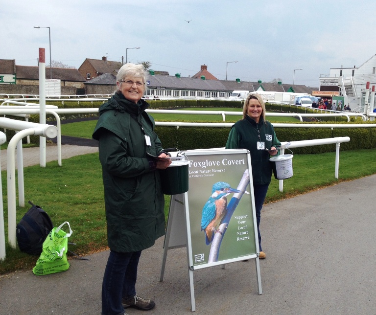 Catterick Market Fundraising | Blog | Foxglove Covert Local Nature Reserve